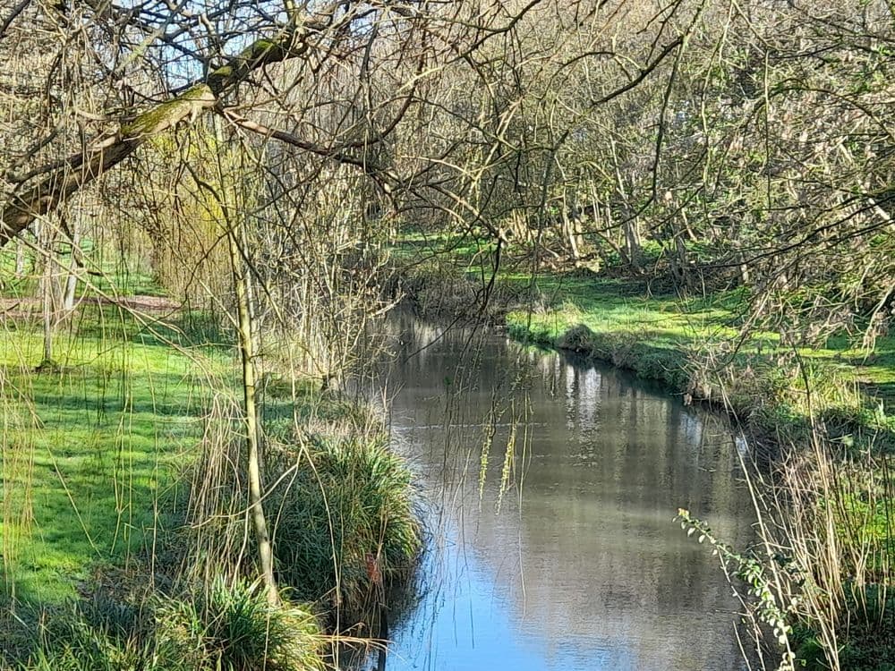 Selby phone numbers | GTele